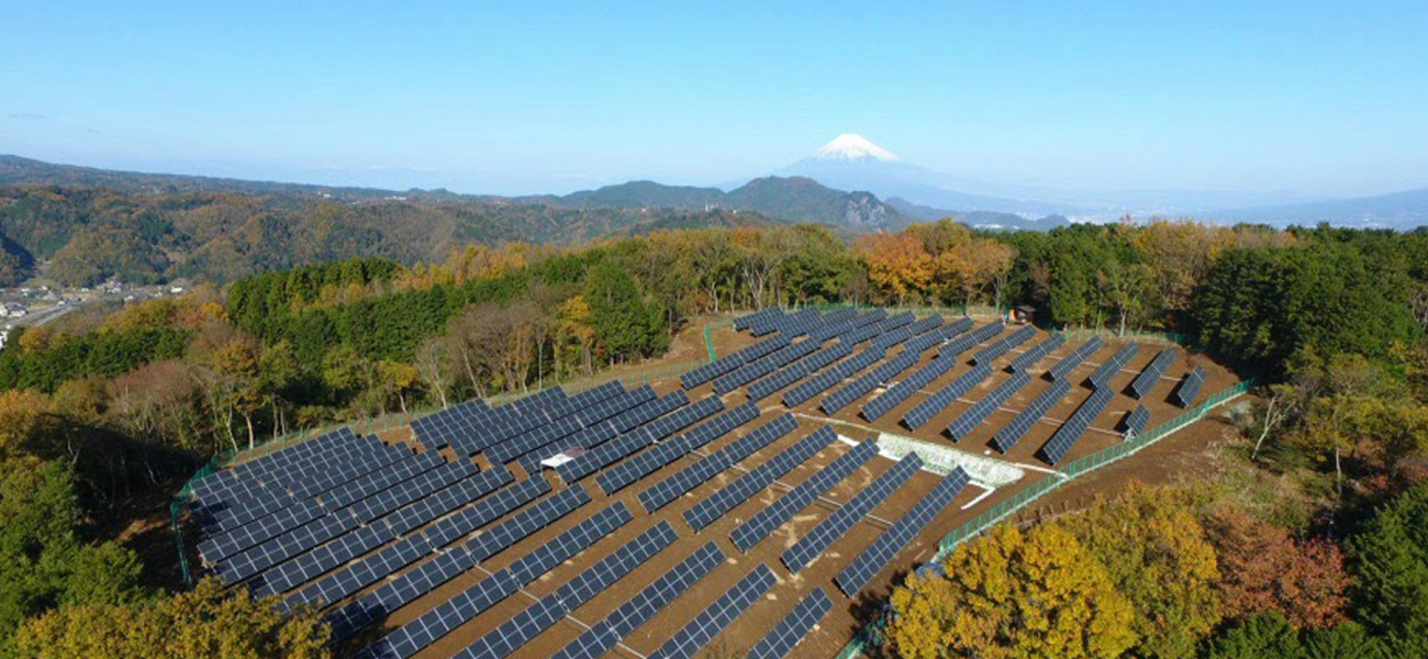 BNEF 1Q 2025 Tier1 – Pachitec